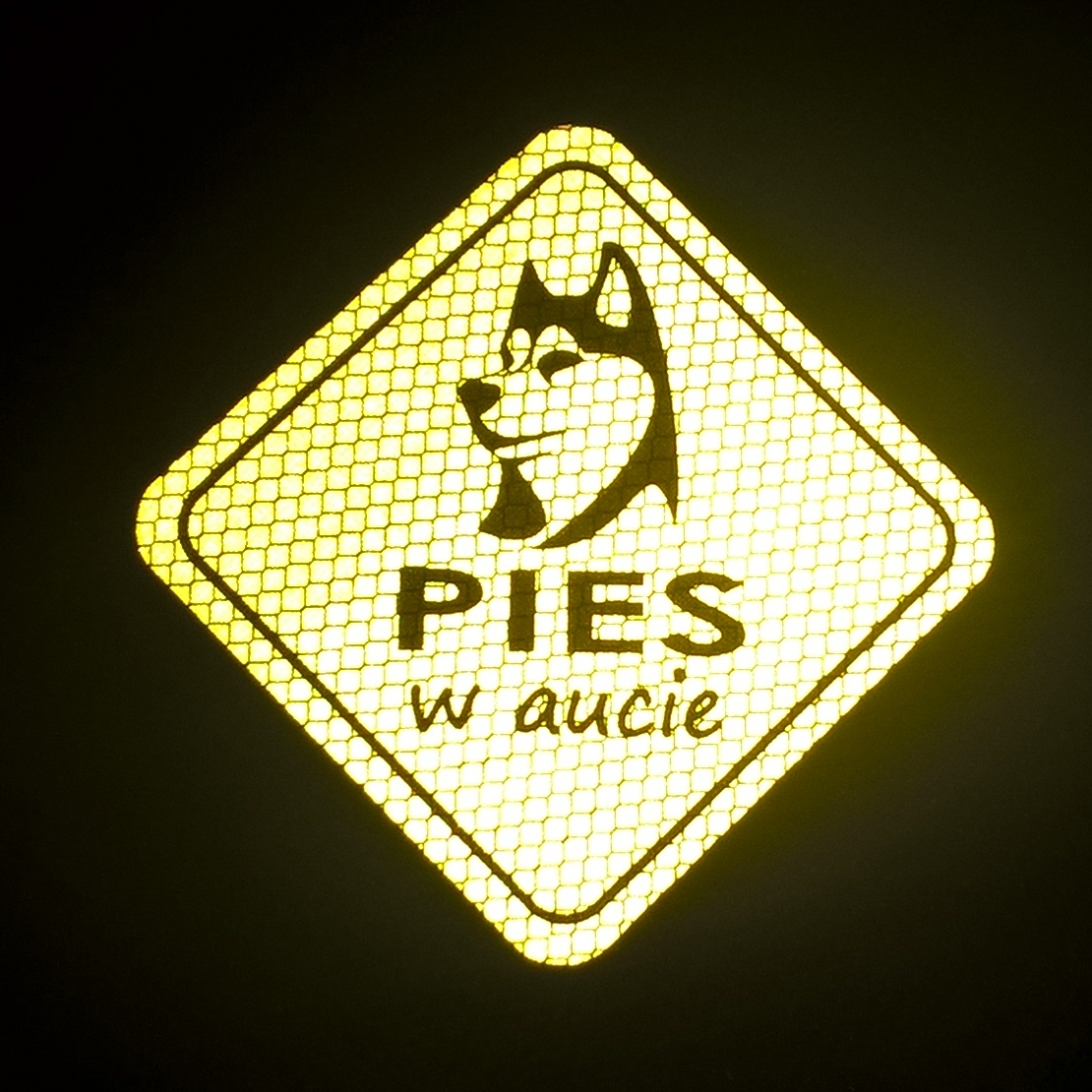 Pies w aucie Neon - Sklep Graphicar